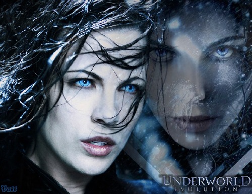 Soundtrack - Underworld: Evolution photo